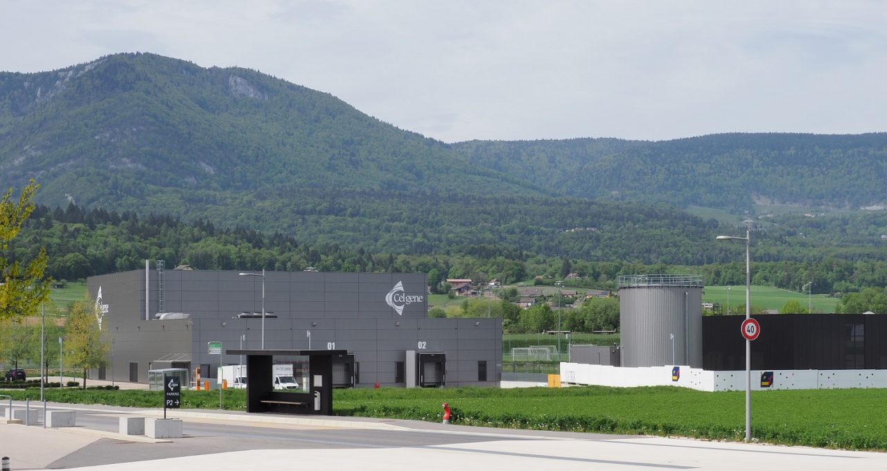Celgene International Boudry - duchein